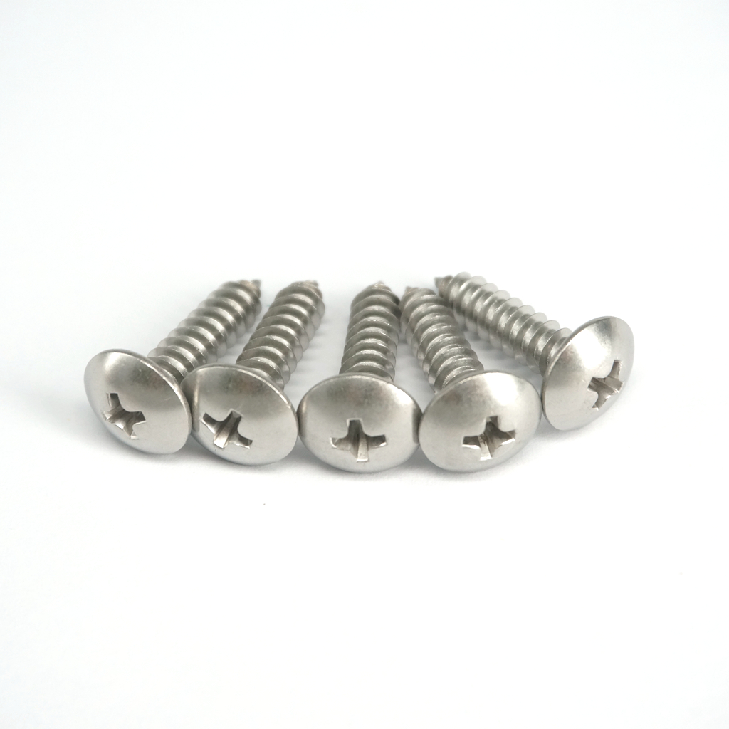 20pcs M5 Phillips Truss Mushroom Head Tapping Screws 304 Stainless Steel | eBay