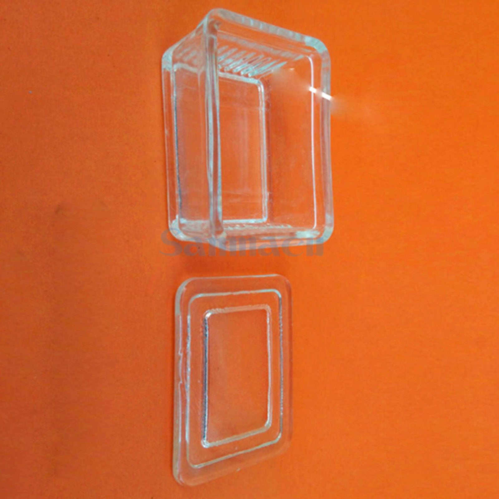 Square Microscope Glass Slide Staining Jar with Lid For Lab Apothecary ...