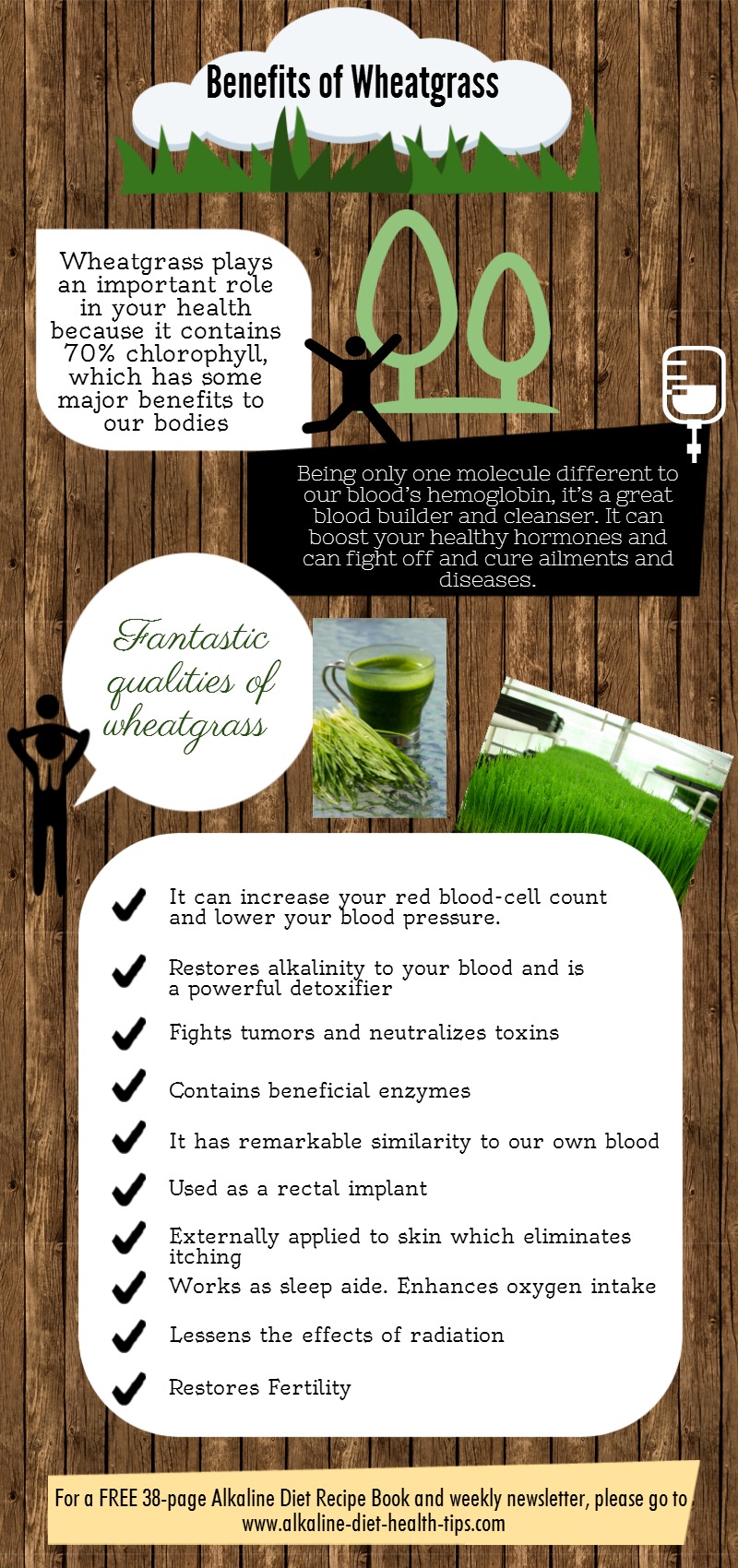Eh030 Wheatgrass Juice Nutrition Benefits And Where To Buy Wheatgrass Powder Laura Rimmer