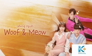 Calming Signals: Woof & Meow | Astro Content