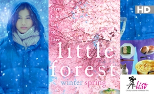 Little Forest - Winter & Spring | Astro Content