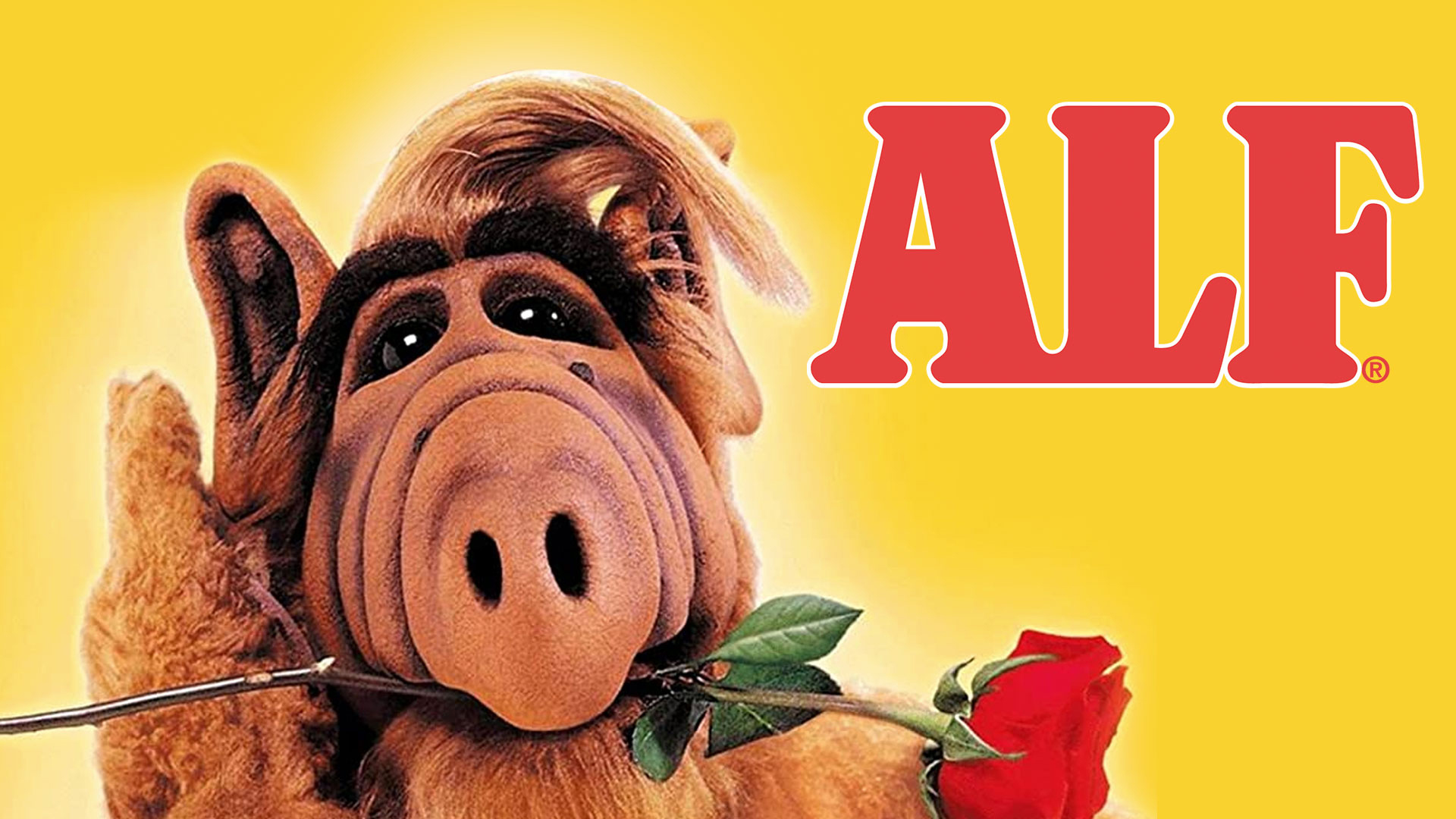 ALF S1 | Watch On TV