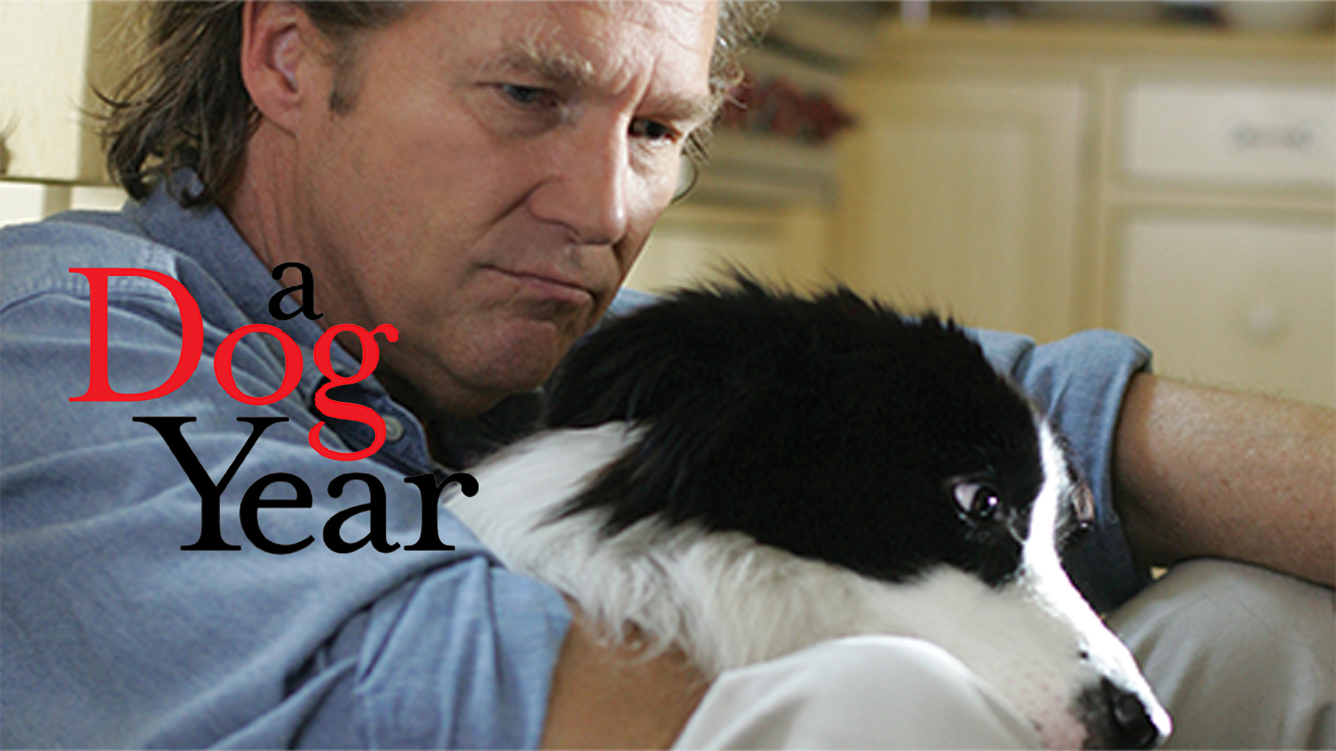 A Dog Year | Astro Content Guide