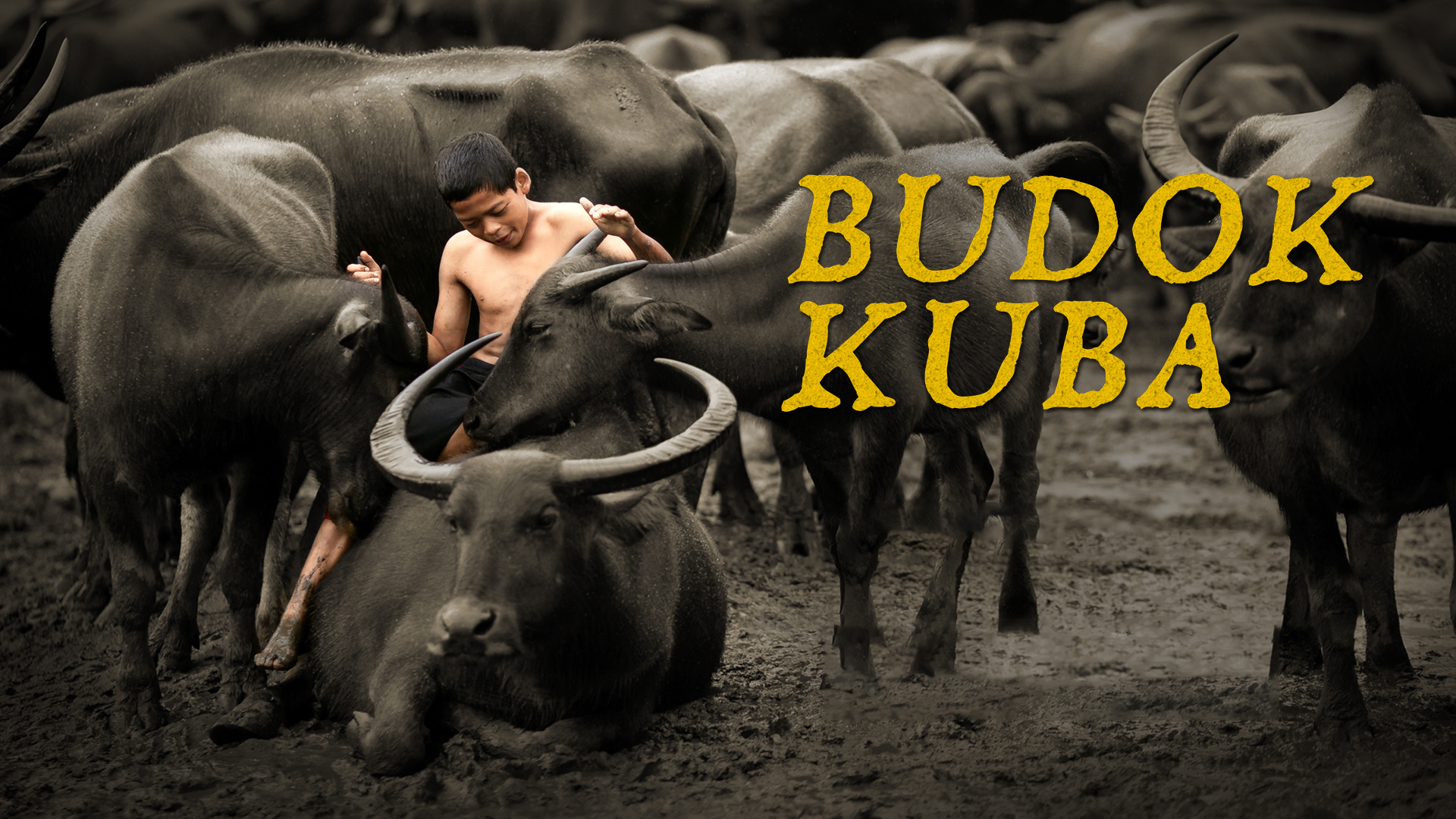 Budok Kuba | Astro Content