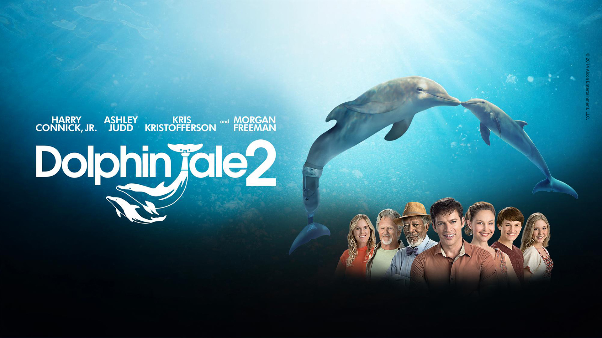 Dolphin Tale 2 | Astro Content