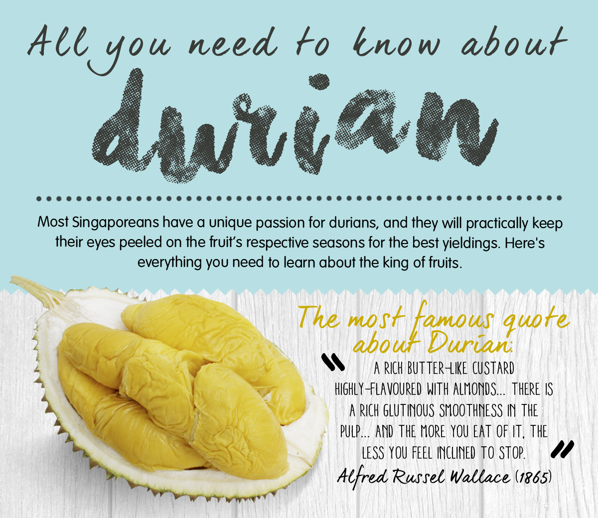 The Durian Story – Expertly Sourced