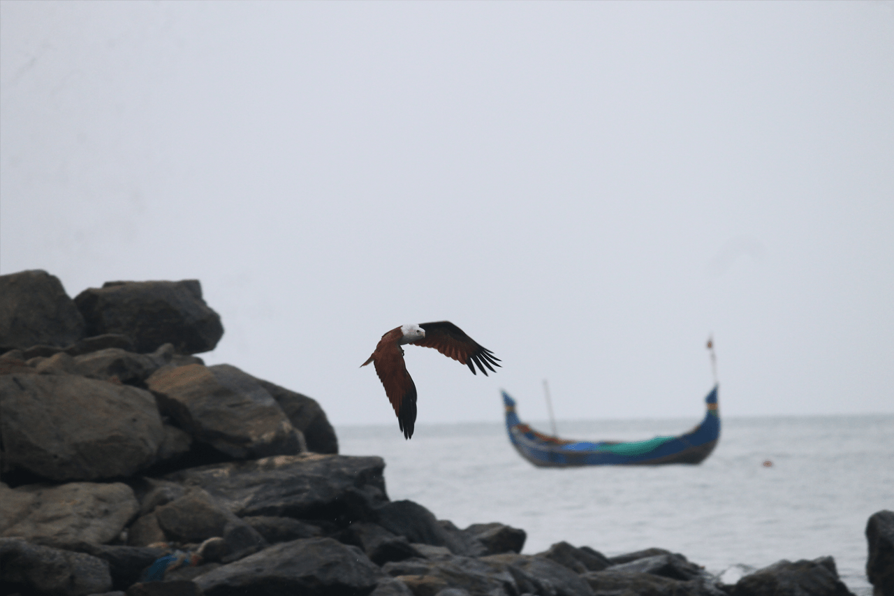 Gallery | Arakal Heritage | Homestay