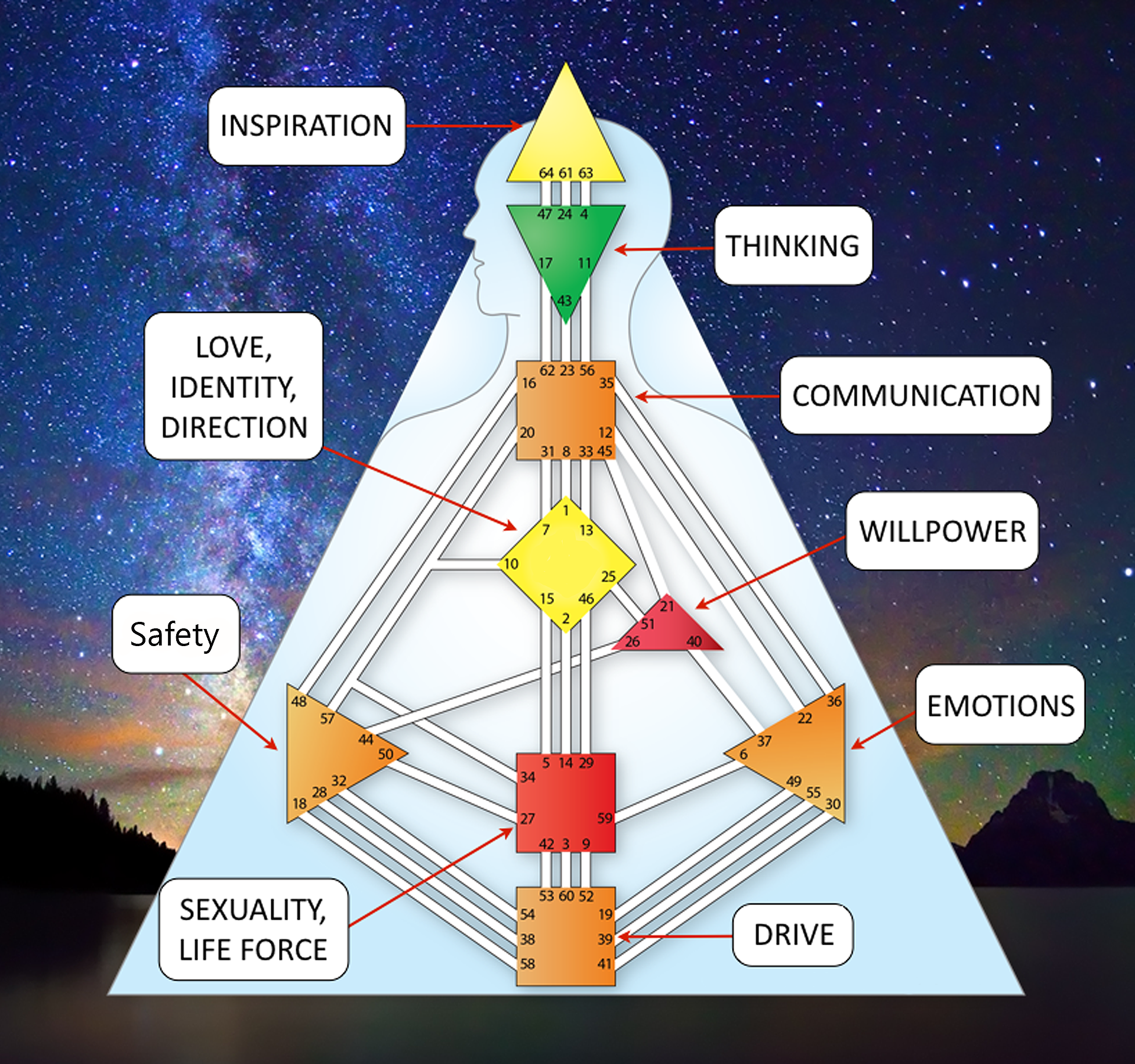 Human Design System | Human Design Analyst in New York