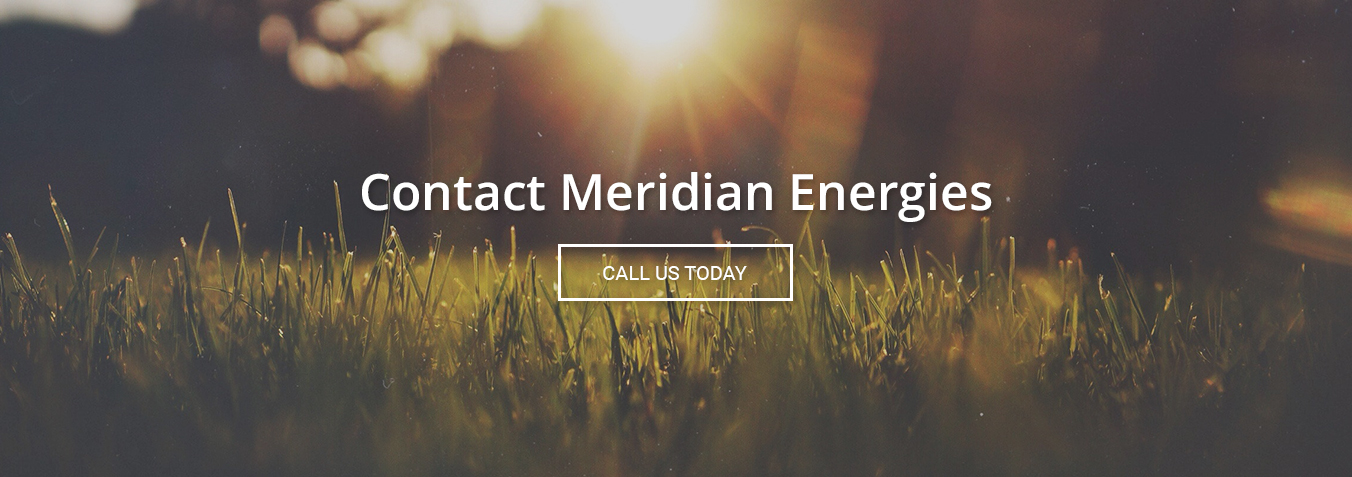 Meridian Energies | Holistic Medicine Treatments Collingwood, ON