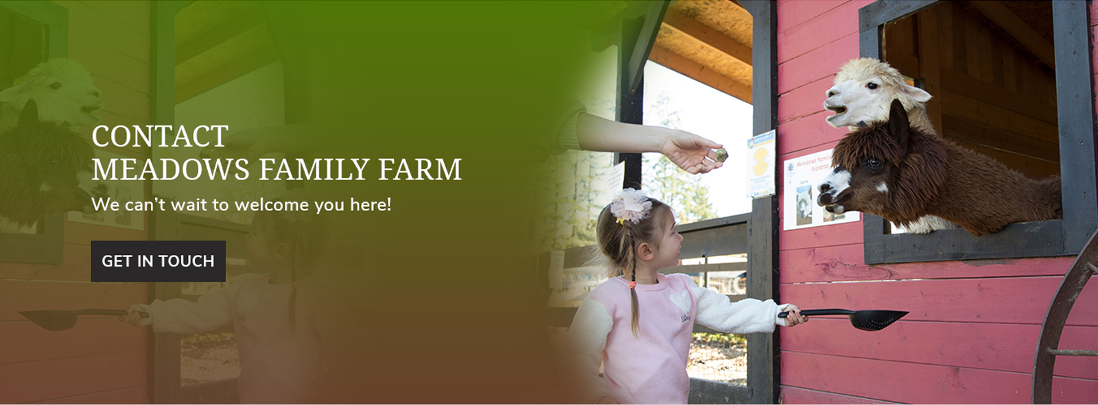 Petting Farm in Maple Ridge, BC | Meadows Family Farm