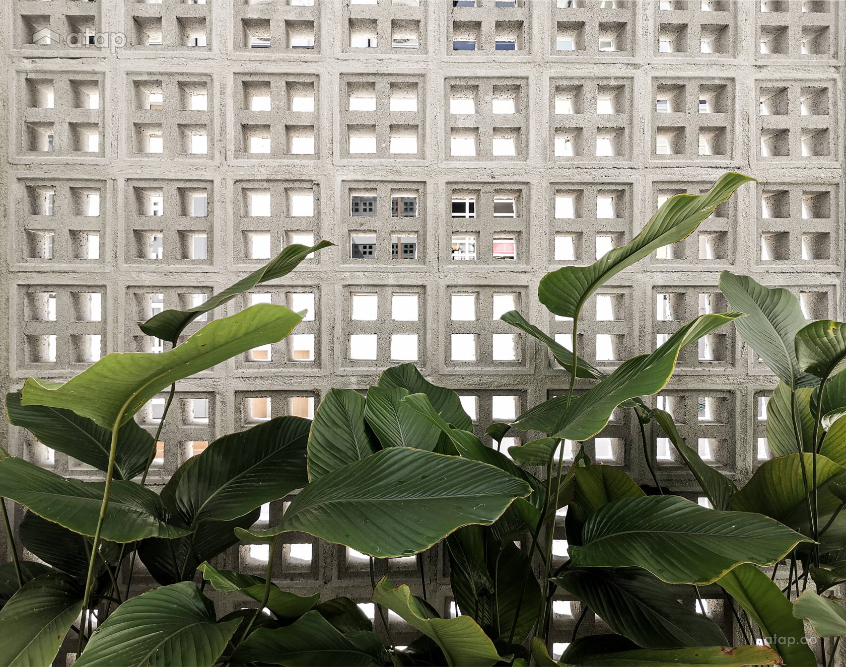 Minimalistic Zen Garden terrace design ideas & photos Malaysia | Atap.co