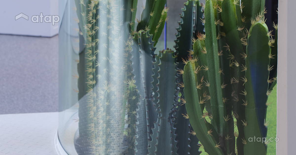 Minimalistic Office others design ideas & photos Malaysia | Atap.co