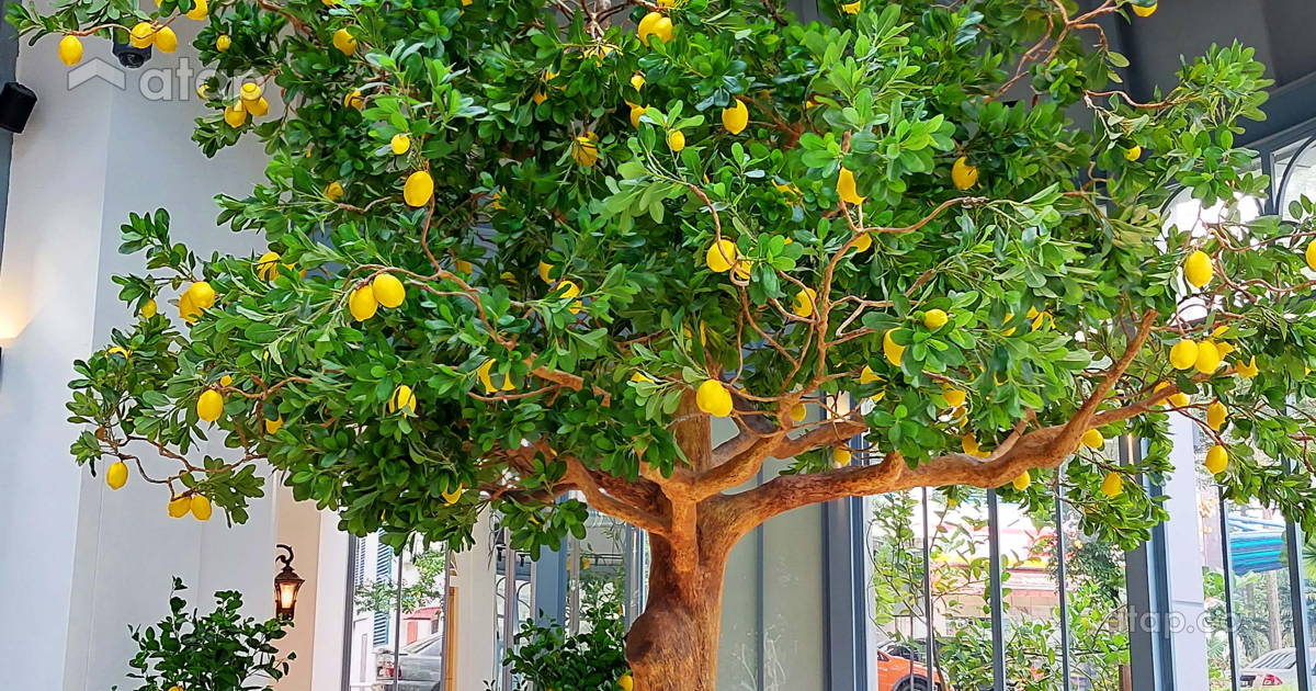 Modern Dining Room Retail shophouse design ideas & photos Malaysia ...