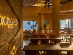 Common Space Mini Food Hall interior design renovation ideas, photos ...