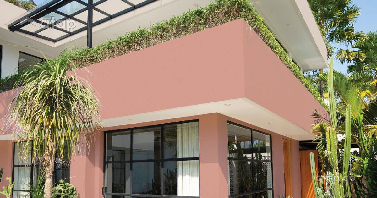 Elevate Your Home with Jotun Jotashield Infinity: The Ultimate Exterior ...