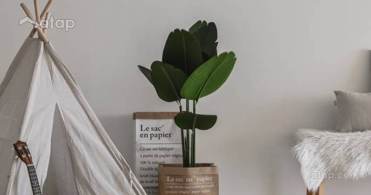 Amaze Design | Atap.co