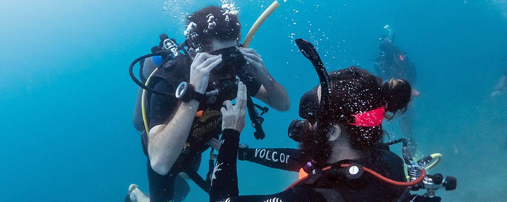Dive Instructor Internships