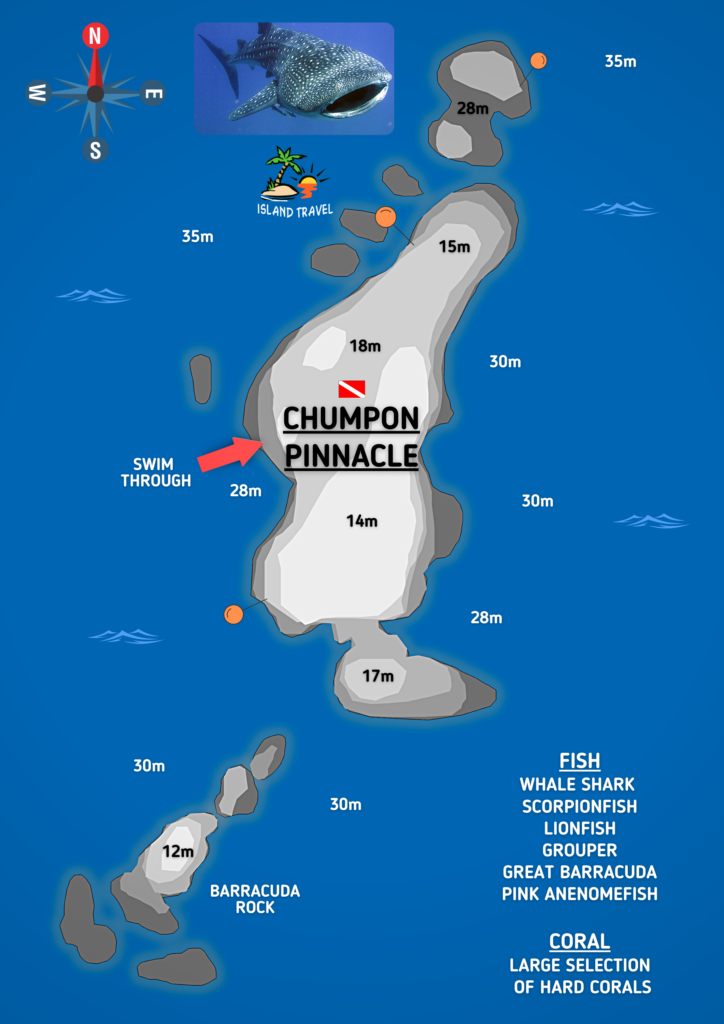 Koh Tao's Best Dive Site - Chumphon Pinnacle - Big Blue Diving Koh Tao
