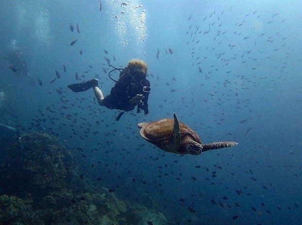 Scuba Diver Course - Learn to Dive - Big Blue Diving Koh Tao