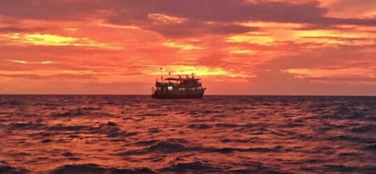 SCUBA Diving Koh Tao | Big Blue | Thailands Leading Dive School