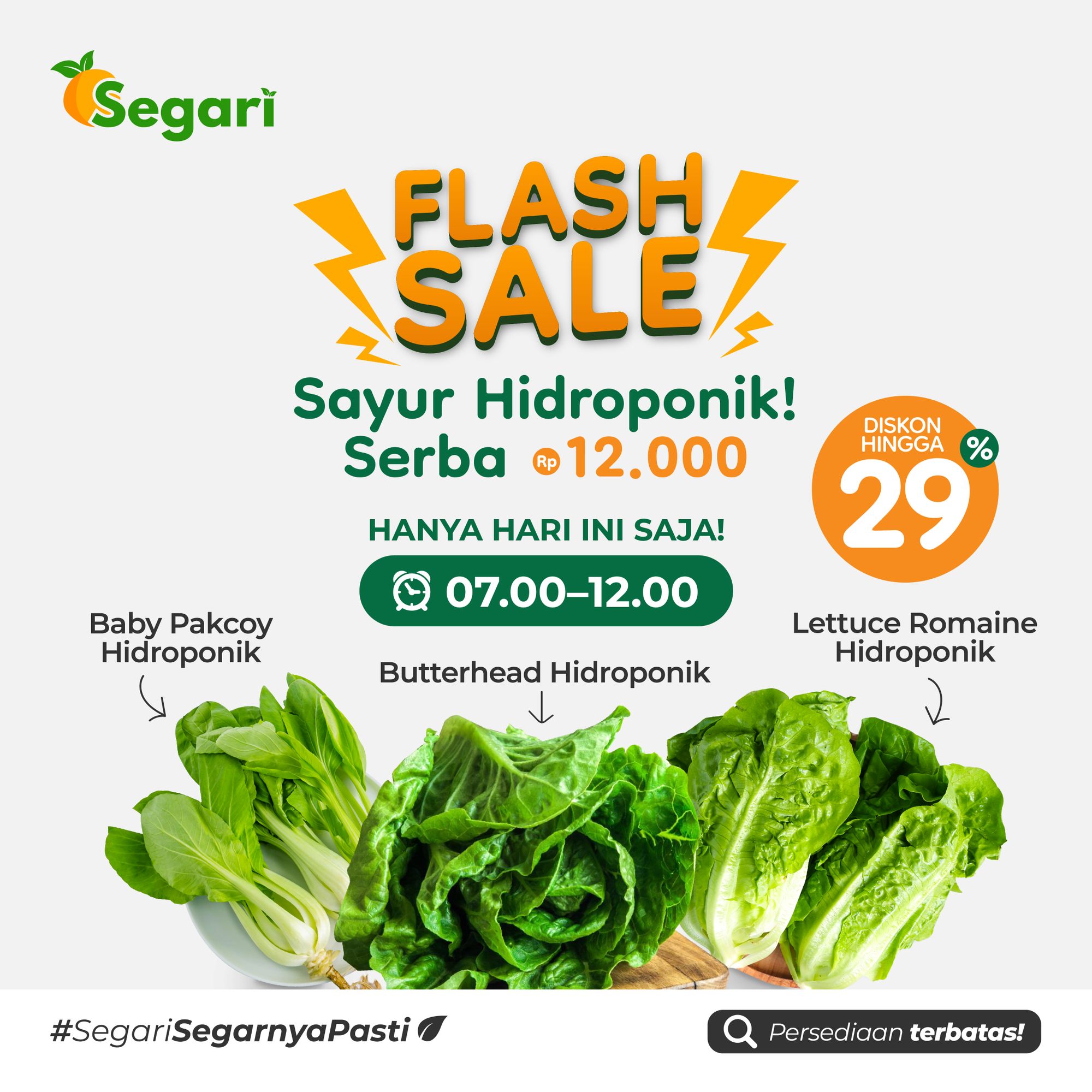 FLASH SALE SAYURAN HIDROPONIK SEGARI FLASH SALE SAYURAN HIDROPONIK SEGARI