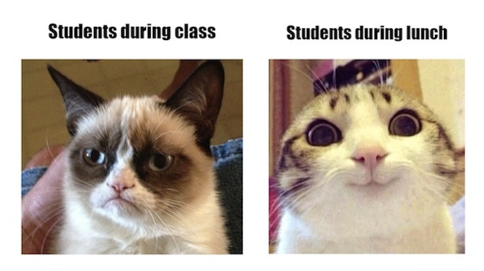 Cat meme on students during class and lunch break | Edukasyon.ph