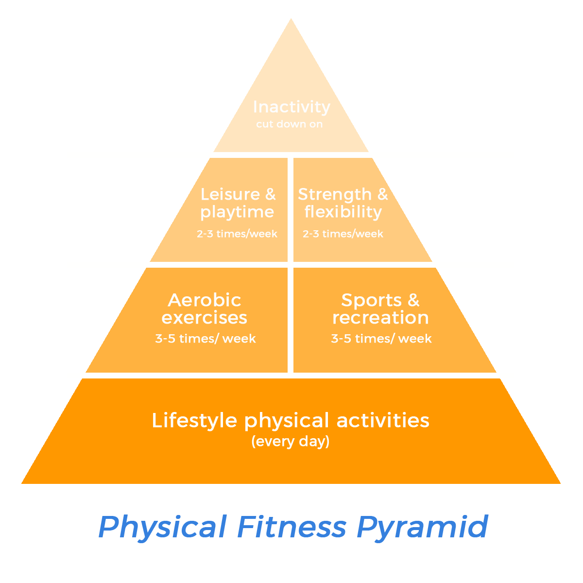 Physical-Fitness-Pyramind | Edukasyon.ph