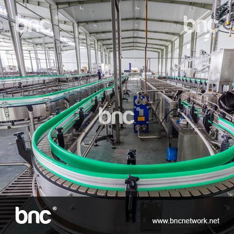 Plans for Cheese Factory Announced in Morocco