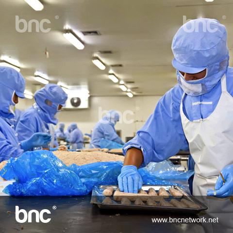 Plans Unveiled for Food Factory Expansion in Oman