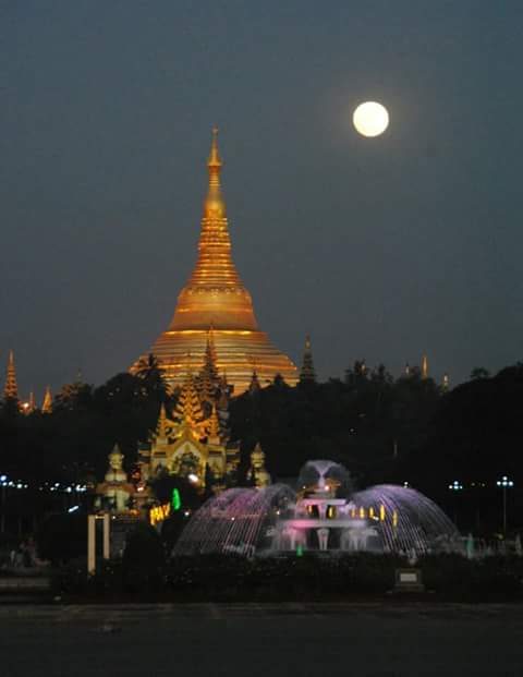 Grade 6 con,ltd Yangon | BUILK