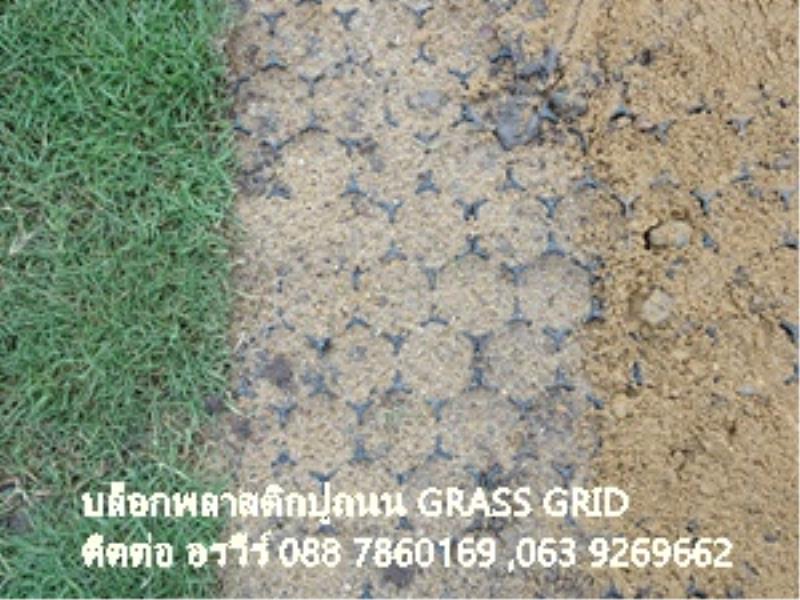 ขาย บล็อคพลาสติกปลูกหญ้า Turf Cell (Grass Paver) กรุงเทพมหานคร | บริษัท ...