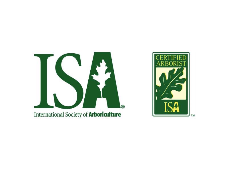 ขาย บริการดูแลรักษาต้นไม้โดย ISA Certified Arborist กรุงเทพมหานคร ...