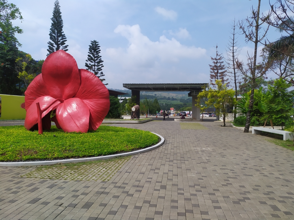 15 Rekomendasi Outbound di Bogor Paling Aman dan Seru
