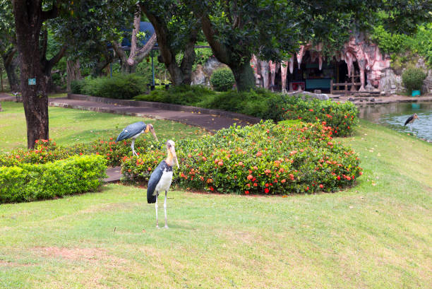 Rute 7F Transjakarta