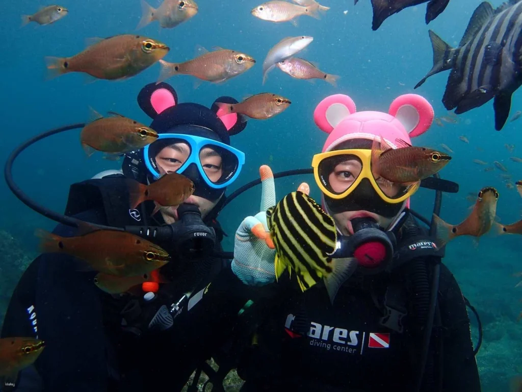 4 Best Ways to Go to Jeju from Seoul