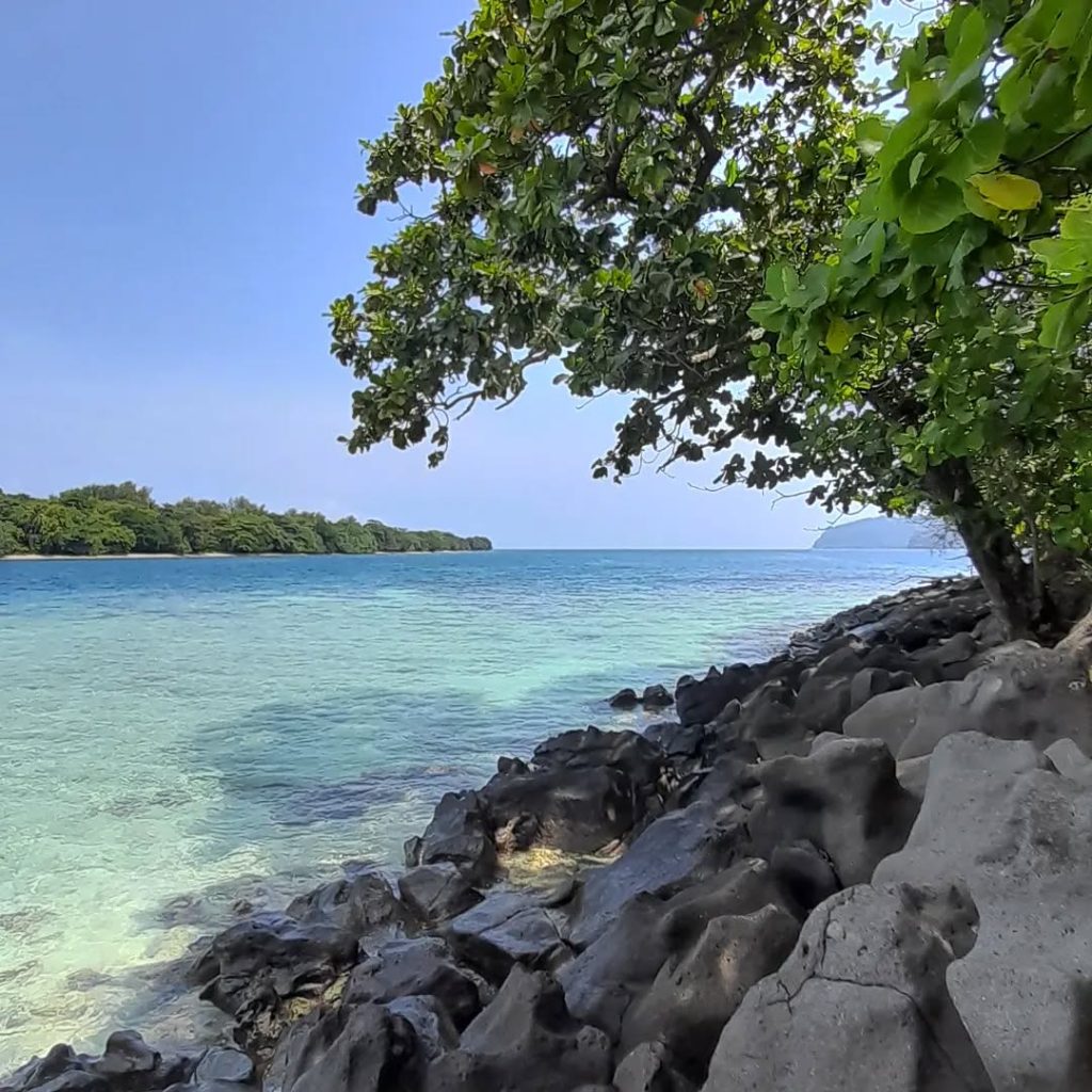 Aktivitas Seru, Harga Tiket & Cara ke Pulau Sebesi Lampung