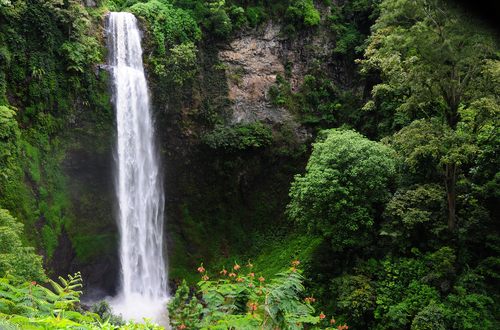 Mau Ke Curug Cimahi Bandung Ketahui 5 Hal Ini Sebelum Kesana