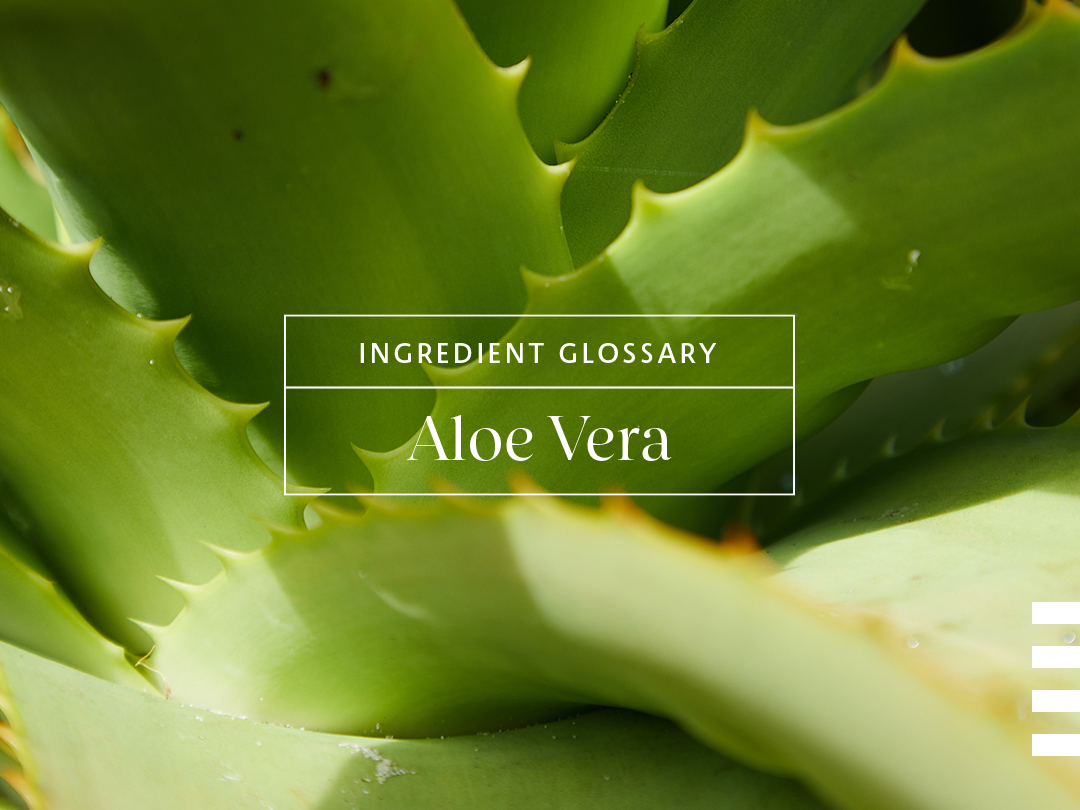 Best Aloe Vera Beauty Products | Sephora Australia