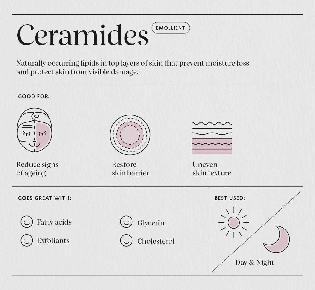 Top Skincare Ingredients for Dry Skin | Sephora Australia