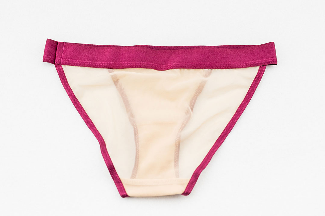 Heartfelt 3D Embroidered Florals Lingerie Set In Maroon • Dreamscape