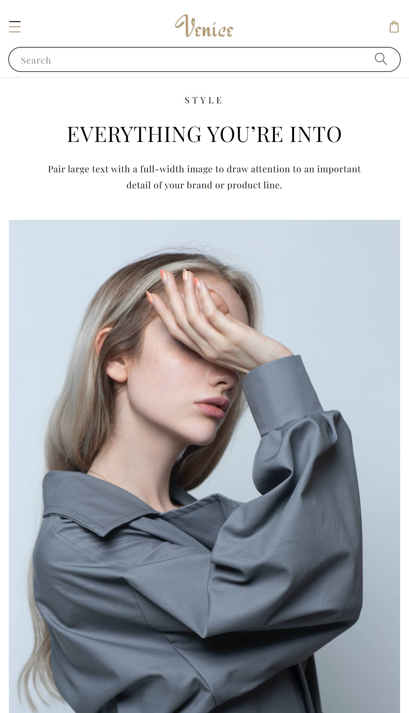 Venice | Beautiful Themes | EasyStore