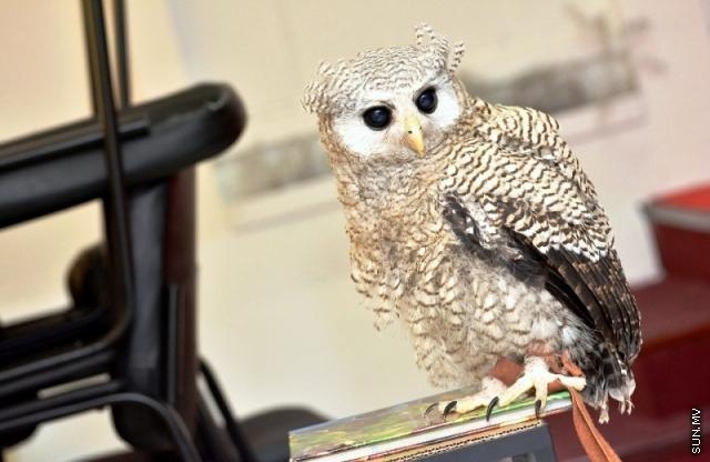 Not informed of requirement to seek technical advice prior to ...