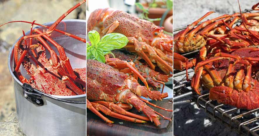 Delicious recipe: lobster or “kreef” | FinGlobal