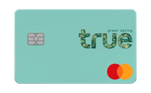 ทรู เติมชีวิต...ให้สุขไปอีกขั้น