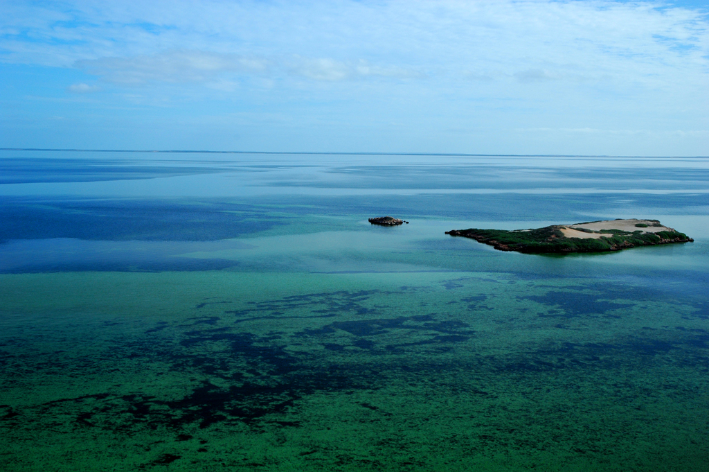 Shark Bay, Western Australia | GoUNESCO | Go UNESCO