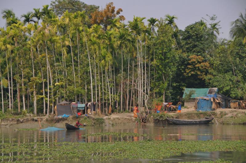 The Sundarbans | GoUNESCO | Go UNESCO
