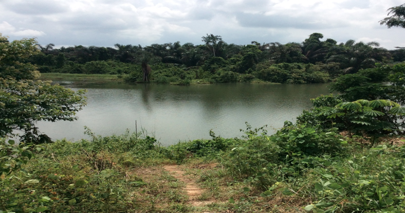 The New Calabar River - Make Heritage Fun!