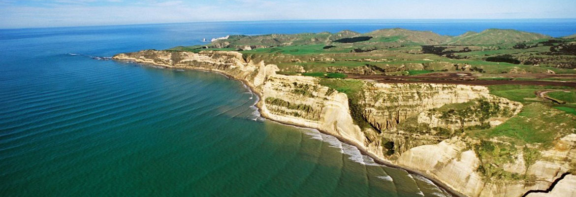 Cape Kidnappers , Napier | HalalTrip