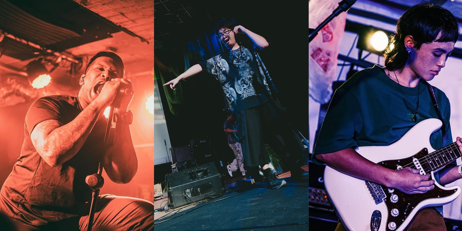 That Incredible Gig brings vibrant mixed-genre showcase, with proceeds