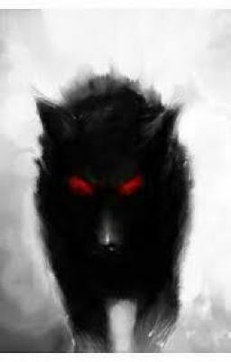 “LOBO” – MOONCHASERS